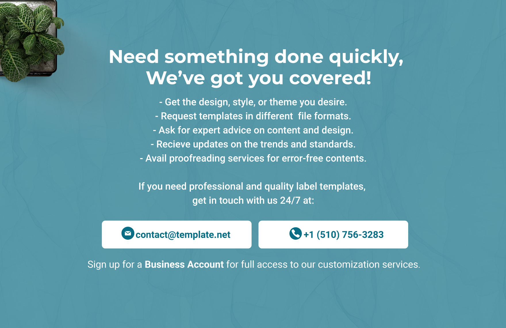 Tray Label Template - Download in Word | Template.net