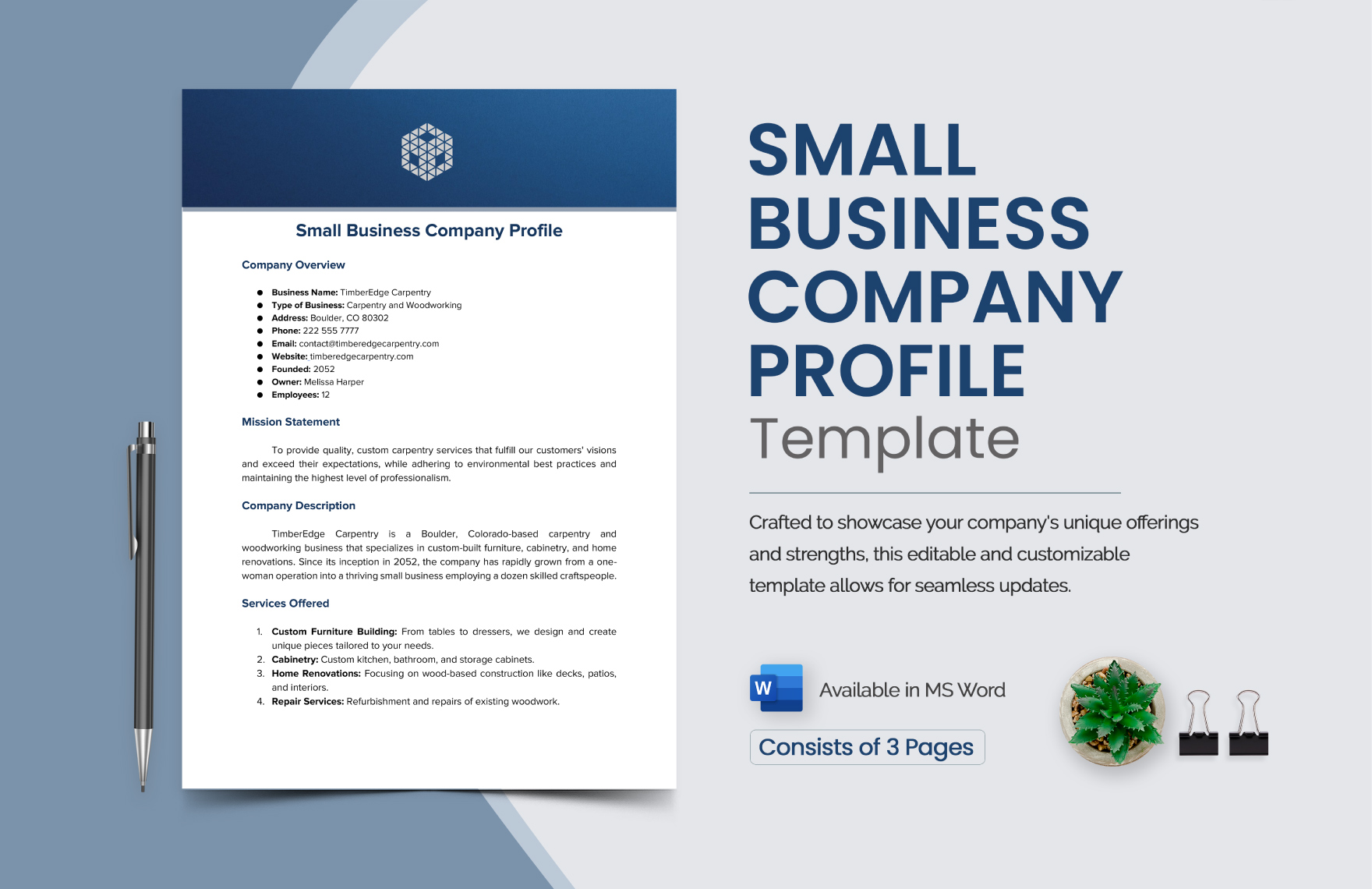 Free Company Profile Templates To Edit Online Print