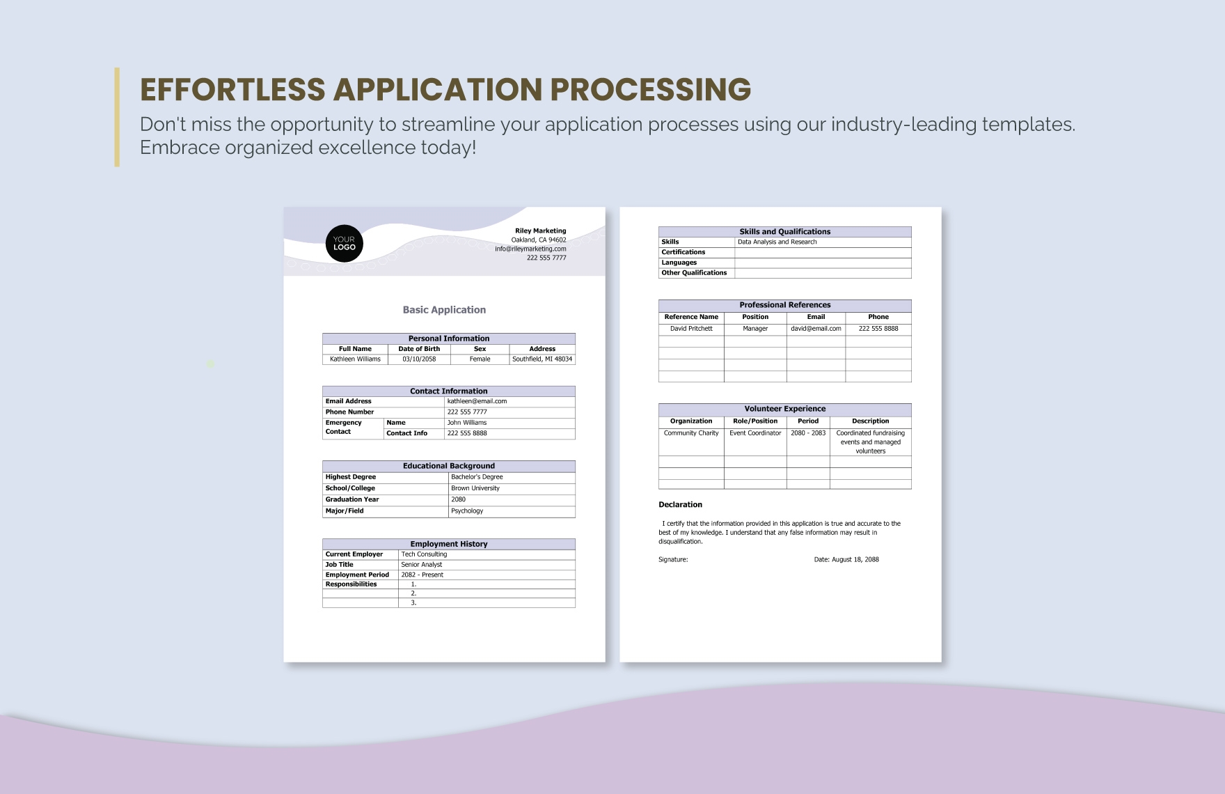 Free Basic Application Template - Download in Word | Template.net