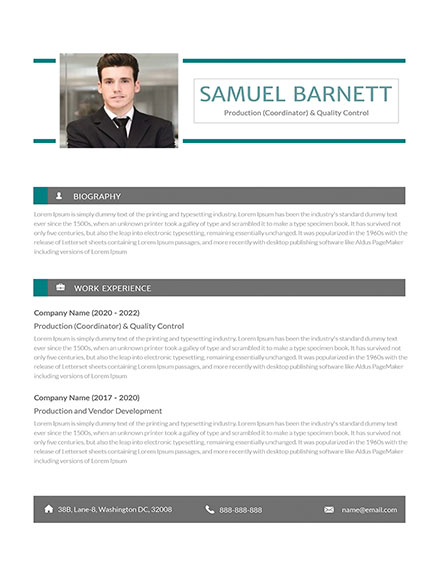 Free Automobile Production Controller Resume Template