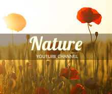Free YouTube Channel Art Photography Template in Adobe Photoshop ...