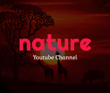 Free YouTube Channel Art for Nature Template in Adobe Photoshop ...