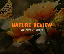 Free YouTube Channel Art Photography Template in Adobe Photoshop ...