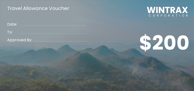 Free Travel Allowance Business Voucher Template