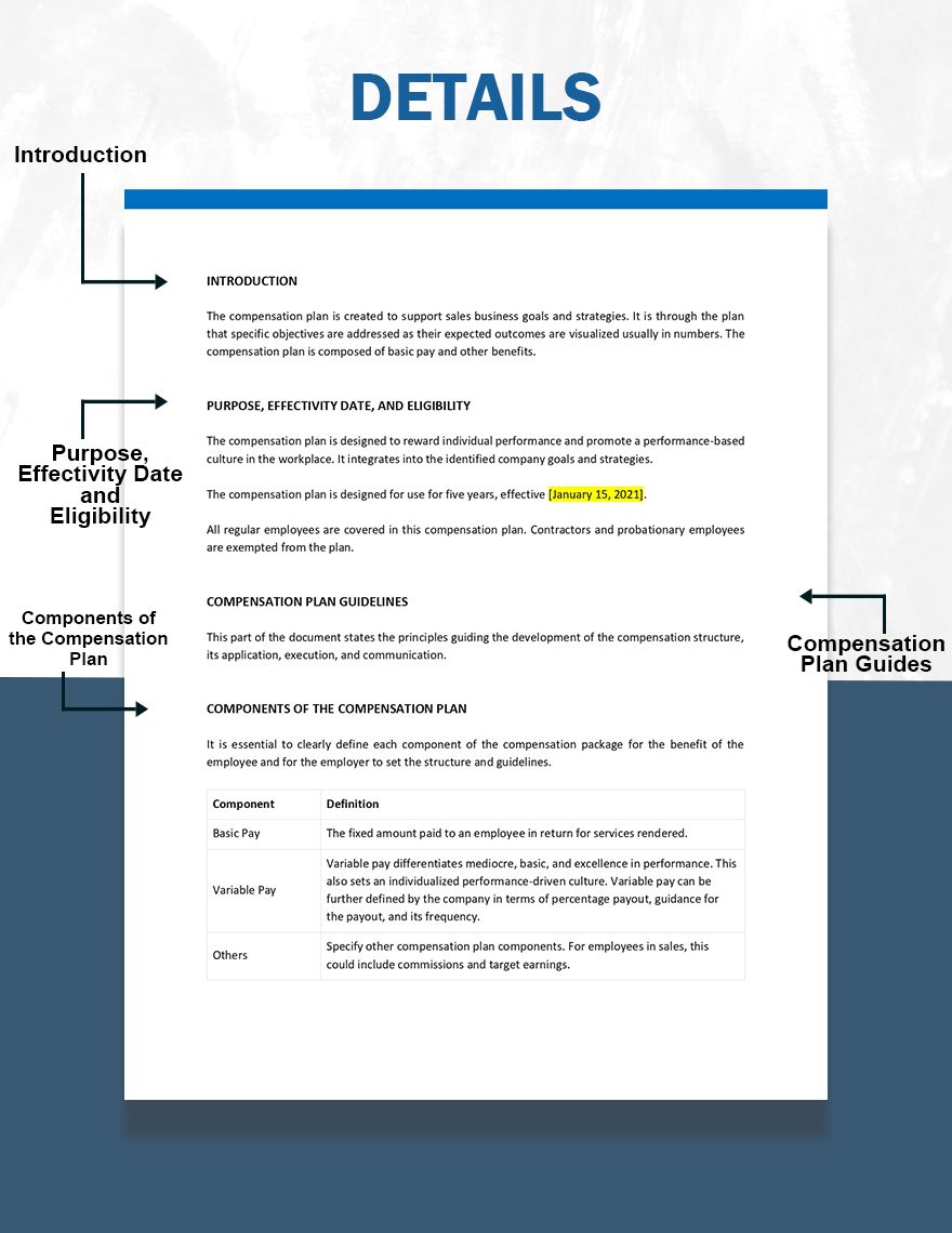 Compensation Plan Template - Word, Google Docs, Apple Pages | Template.net