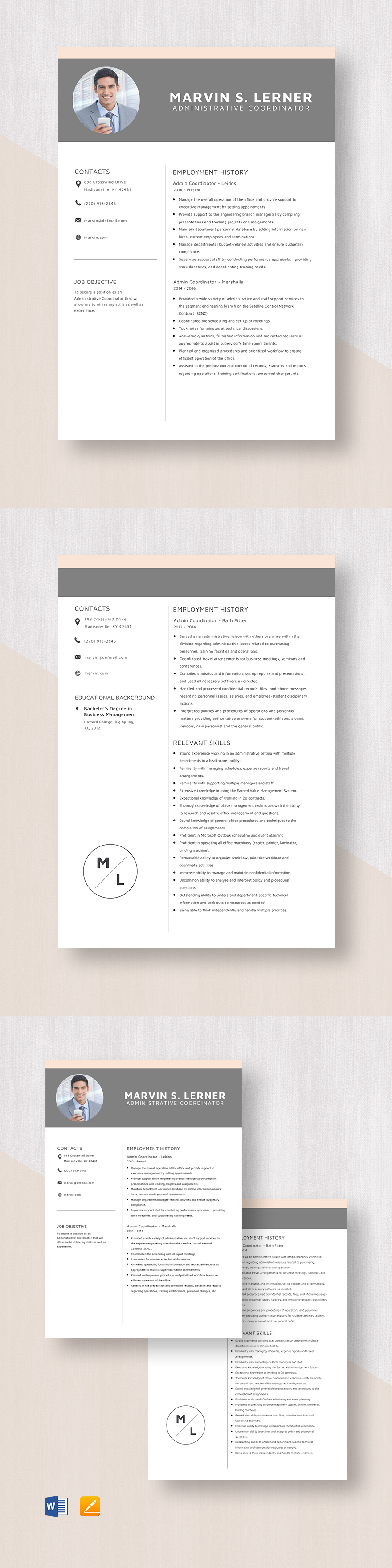 Assessment Coordinator Resume Template Word Apple Pages Template