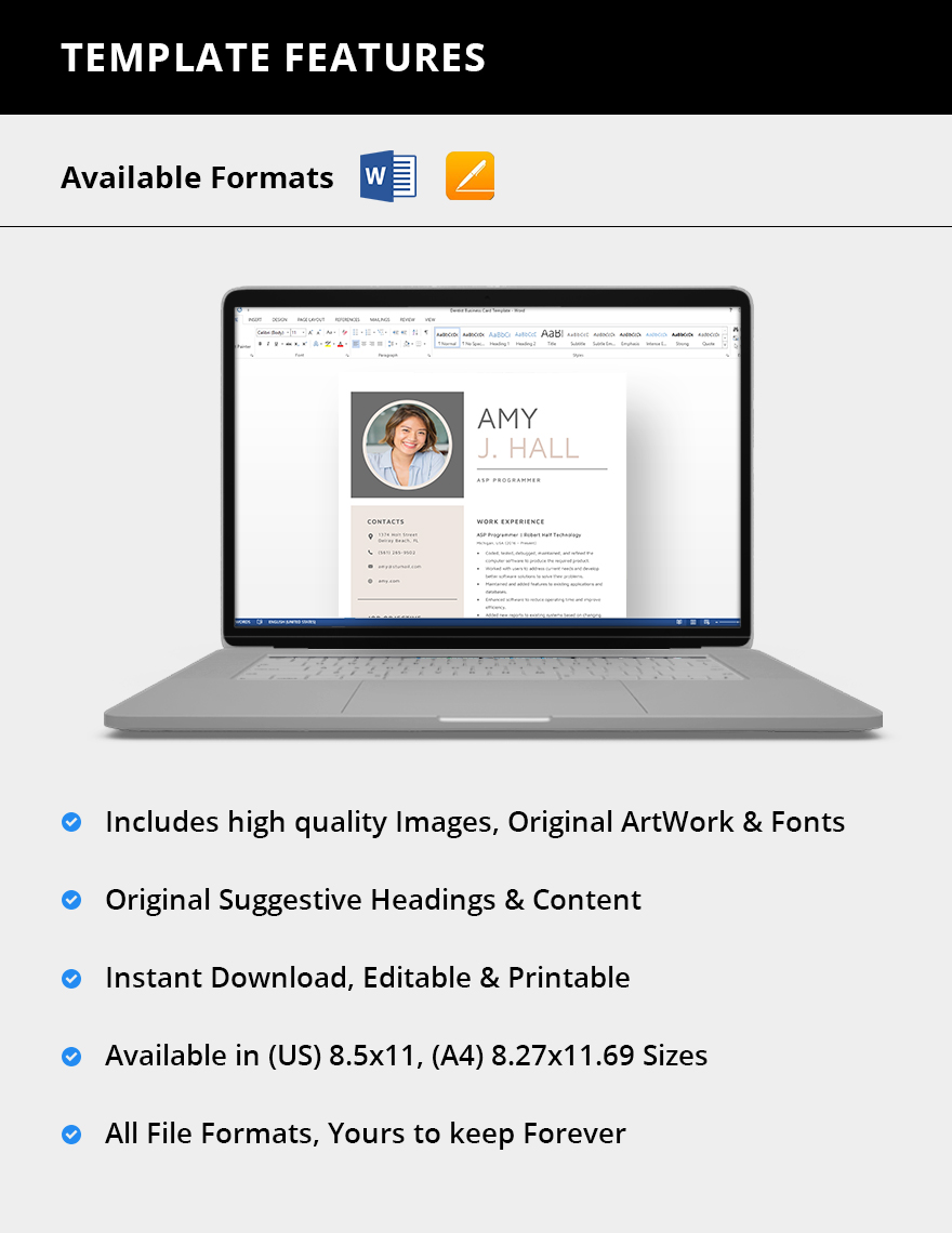 ASP.Net Programmer Resume Template - Word, Apple Pages | Template.net