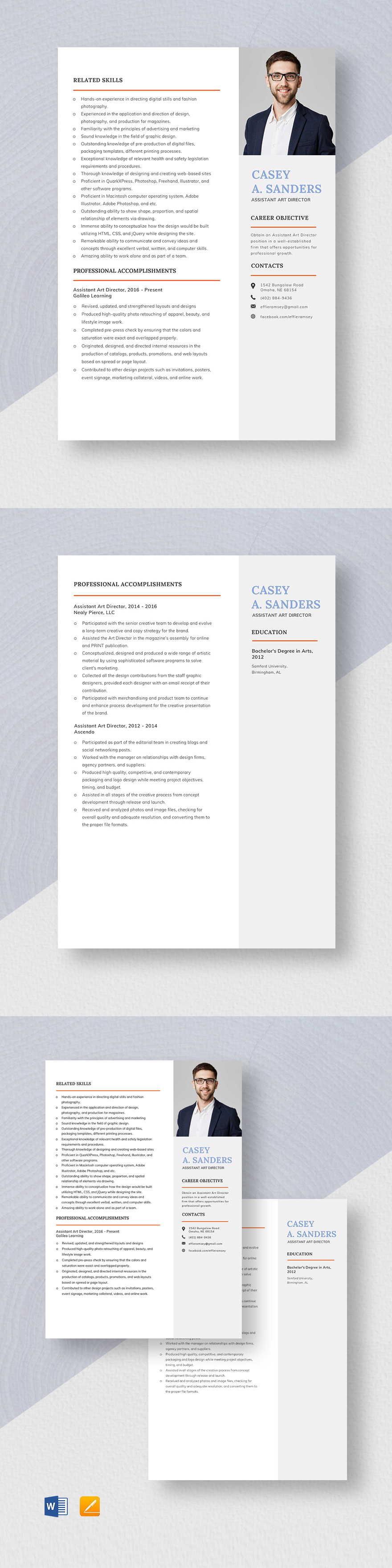 Professional Art Director Resume Template - Word, Apple Pages, PSD ...