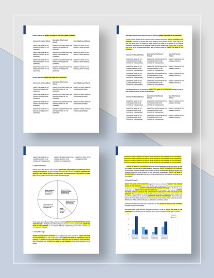 5 Year Business Plan Template Google Docs Word Apple Pages 