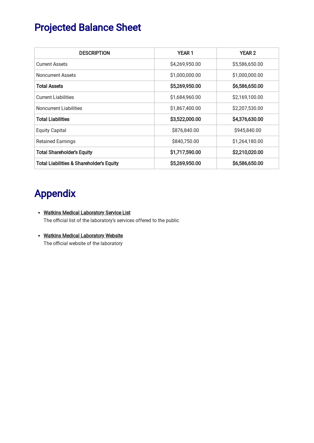 Medical Laboratory Business Plan Template Free PDF Google Docs 