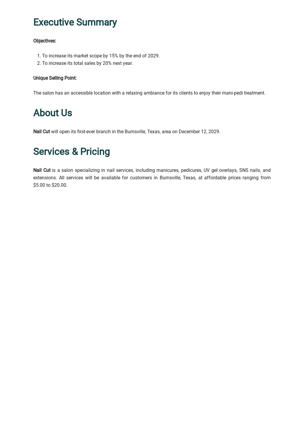 Nail Salon Business Plan Template Free PDF Word DOC Google Docs