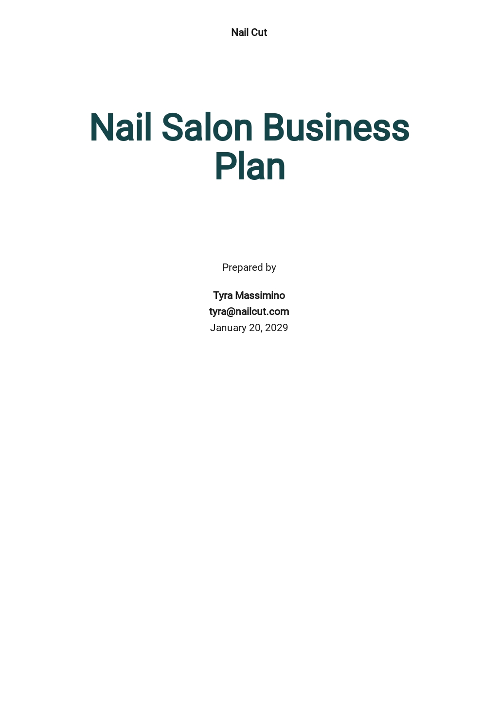 Nail Salon Business Plan Template Free PDF Word DOC Google Docs