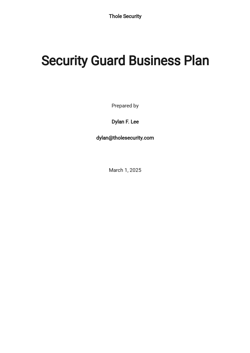 14 FREE Security Plan Templates Edit Download Template