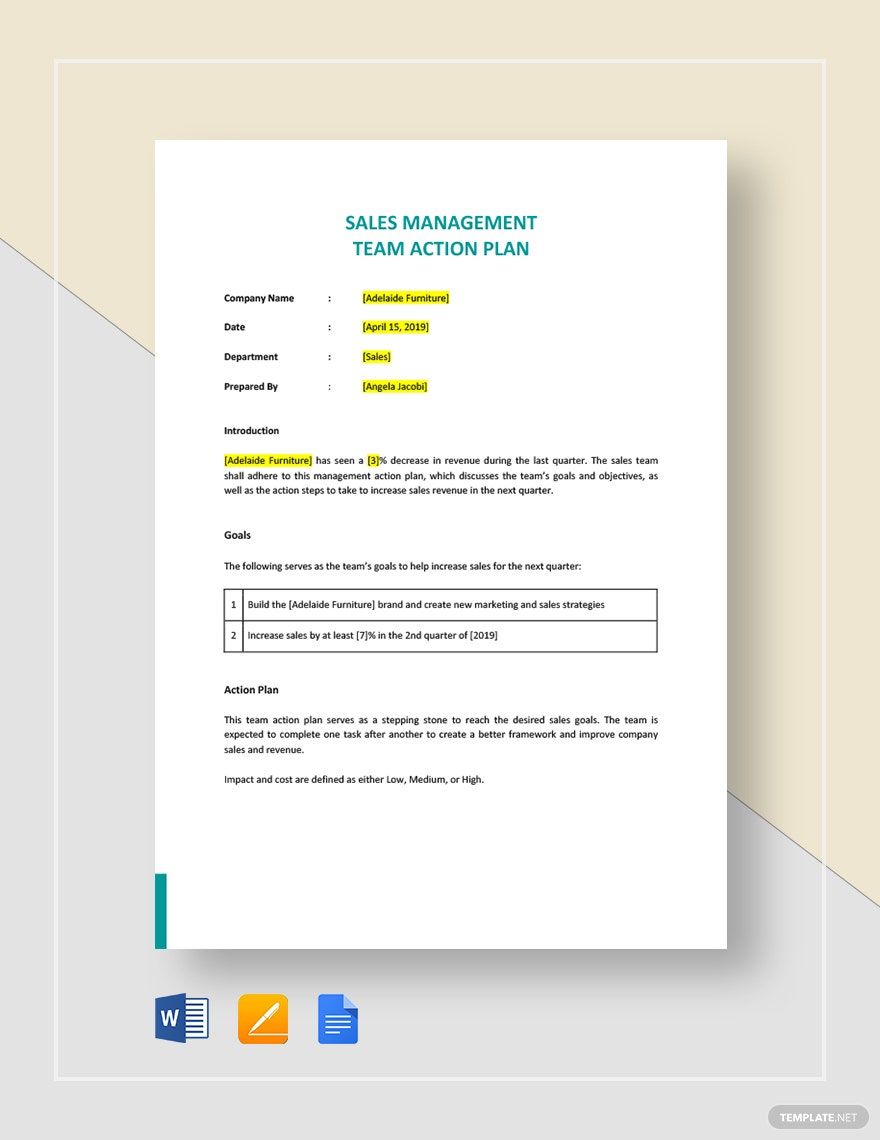 Team Action Plan Template Google Docs Word Apple Pages Template