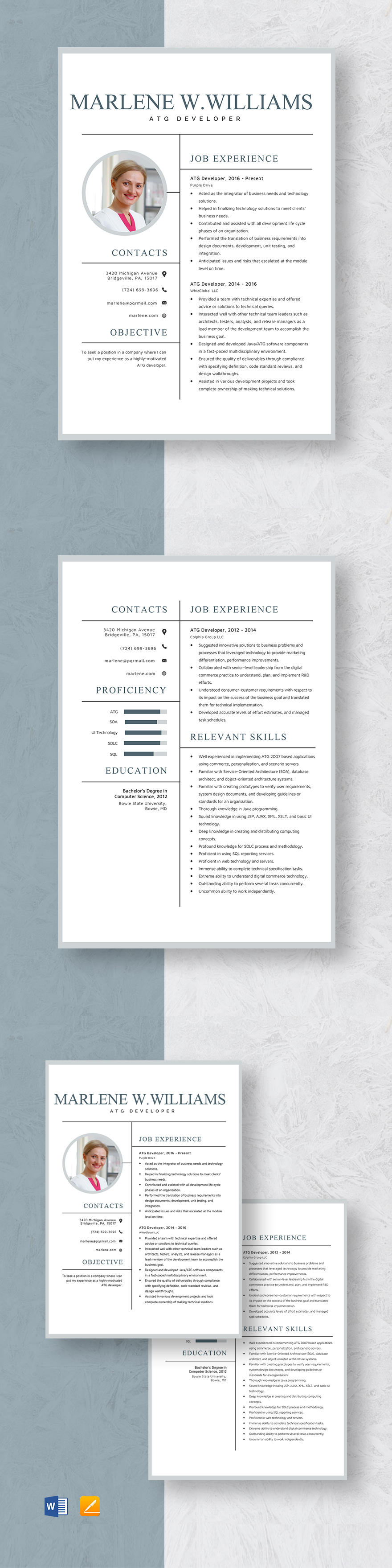 Software Developer Resume Template - Word | Template.net