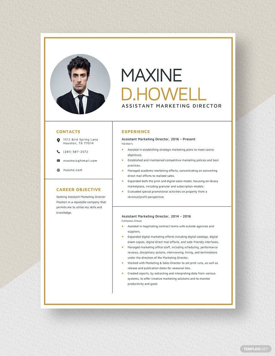 Free Film Assistant Director Resume Word Apple Pages Template