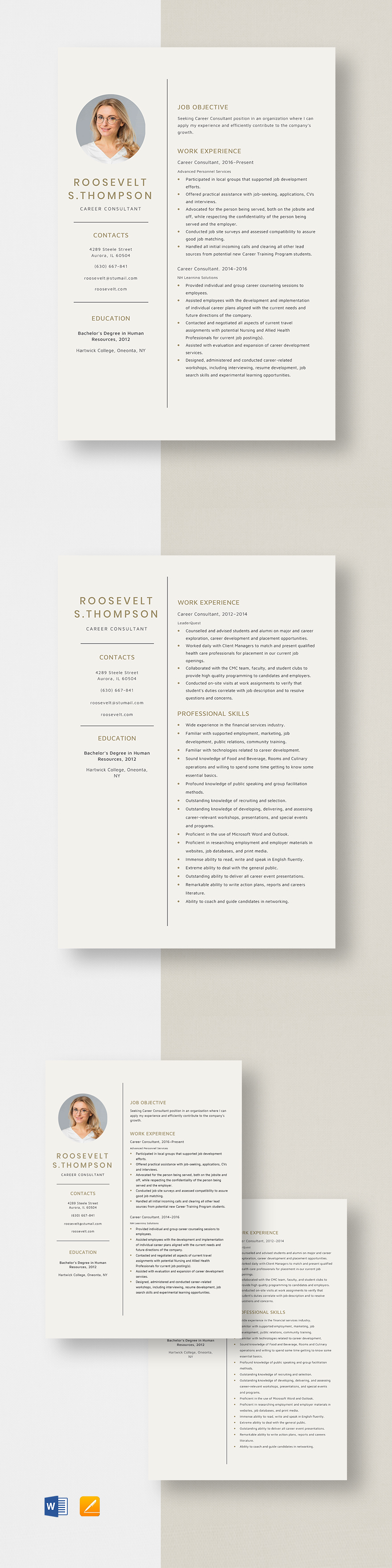 Career Portfolio Template - InDesign, Word, Apple Pages, Publisher ...