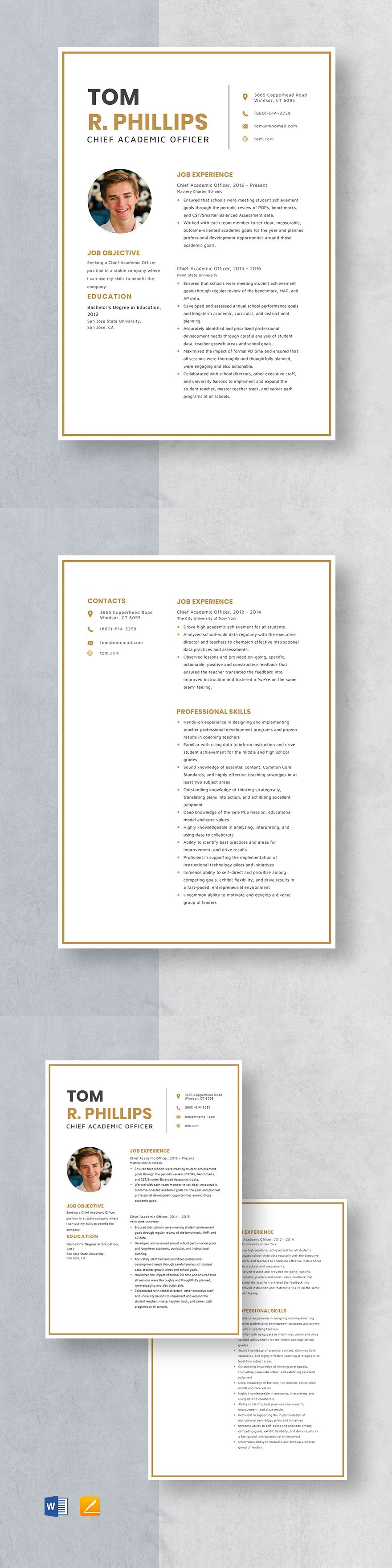 Chief Information Security Officer Resume Template - Word, Apple Pages ...
