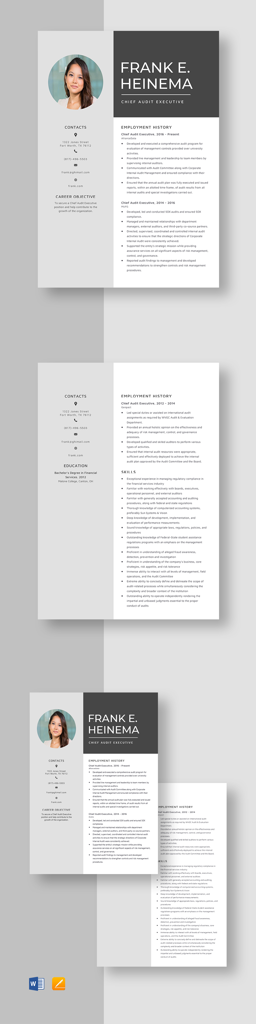Chief Audit Executive Resume Template - Word, Apple Pages | Template.net
