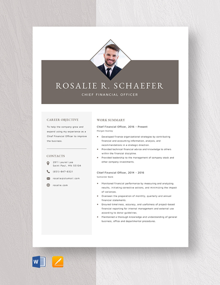Free Sample Chief Financial Officer Resume - Download in Word, Google ...