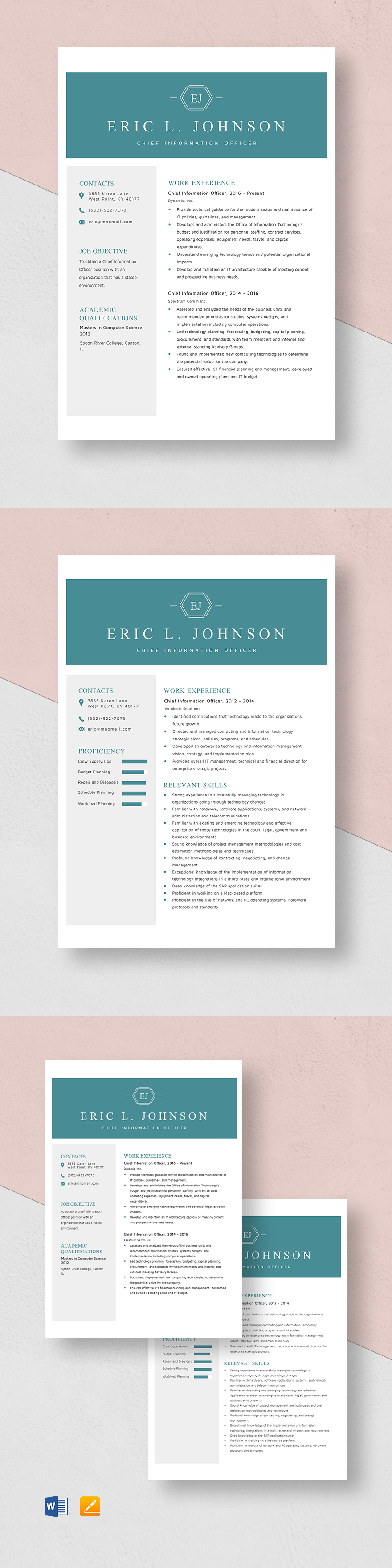 Chief Information Security Officer Resume Template - Word, Apple Pages ...