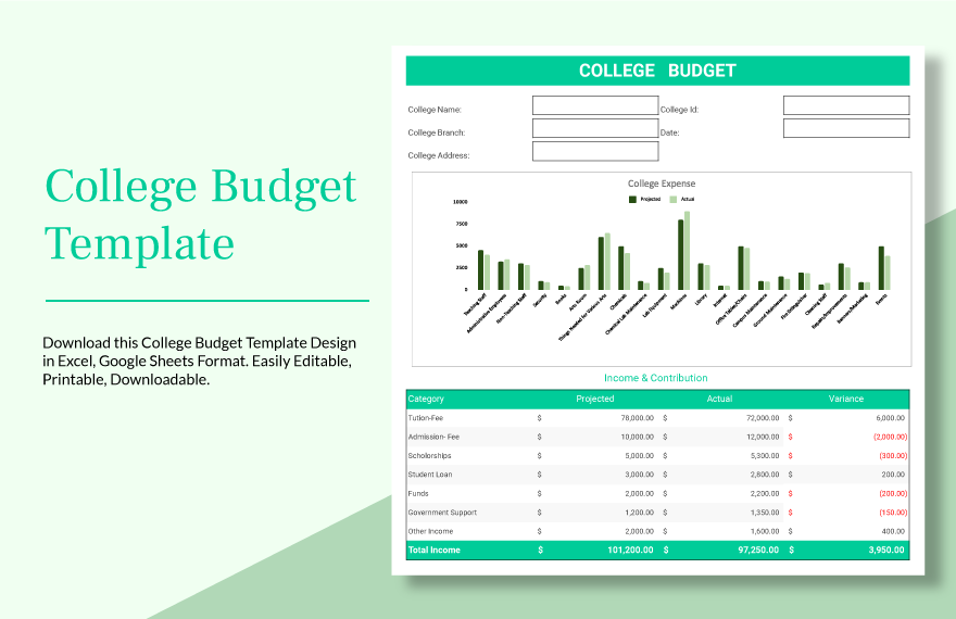 College Budget Template Download In Word Google Docs Excel PDF 