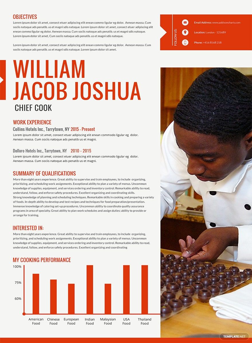 Chief Cook Resume Template - Word, Apple Pages, PSD, Publisher ...