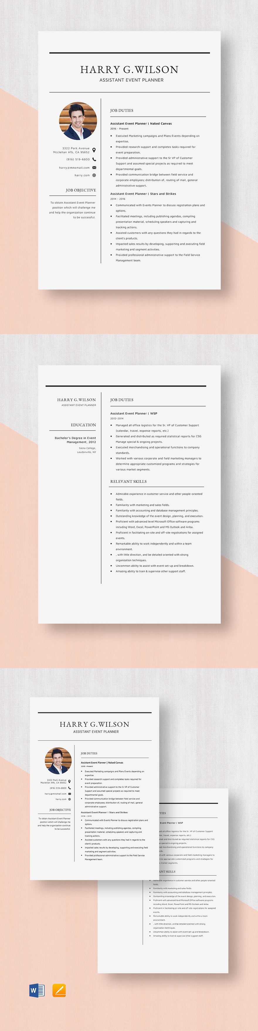 Historic Preservation Planner Resume Template - Word, Apple Pages ...