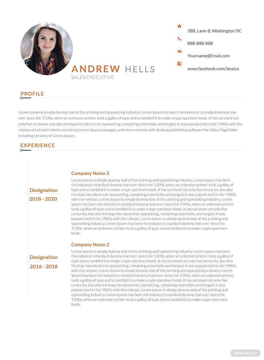 Senior Executive Resume Template - InDesign, Word, Apple Pages, PSD ...
