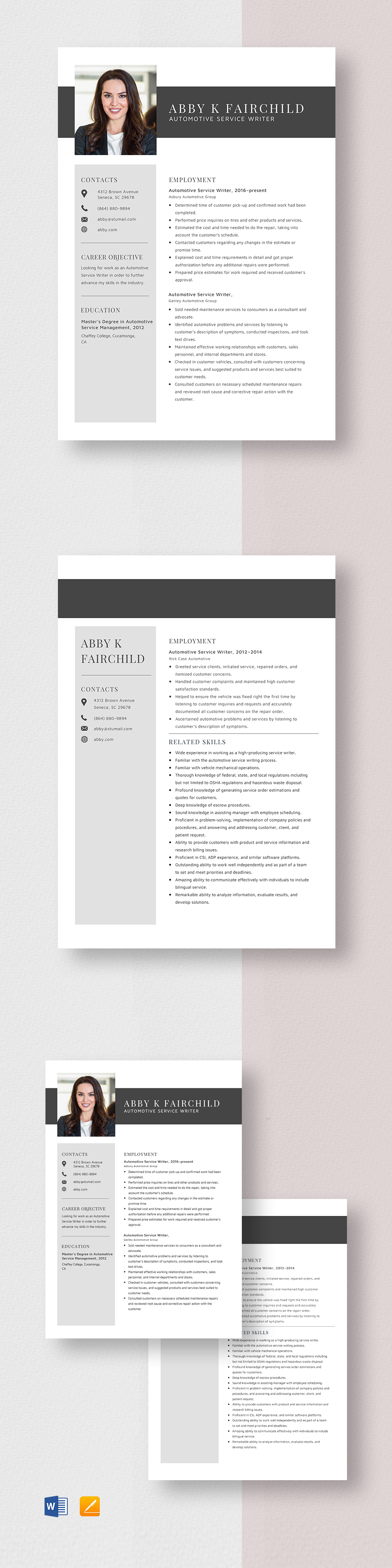 Tech Writer Resume Template - Word, Apple Pages, PSD, Publisher ...