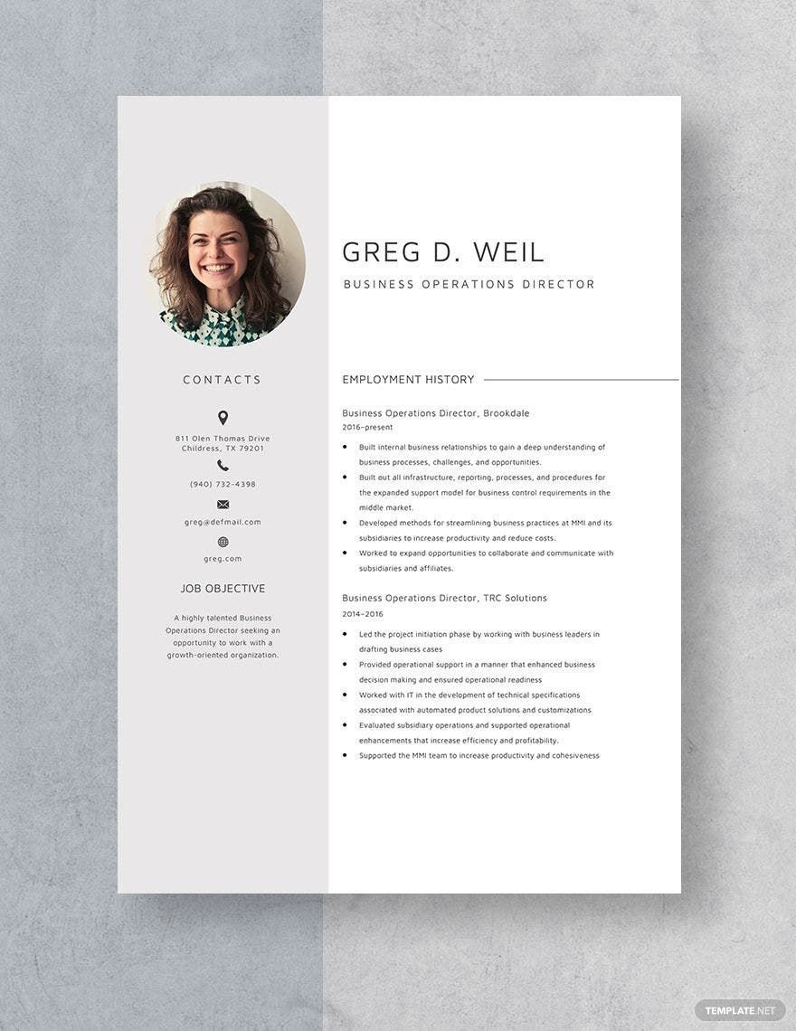 Business Operations Director Resume Template Word Apple Pages 