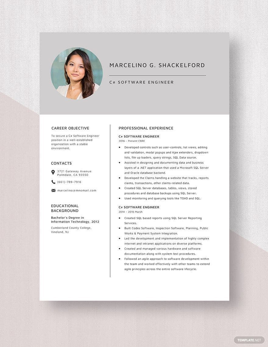 C Software Engineer Resume Template Word Apple Pages Template