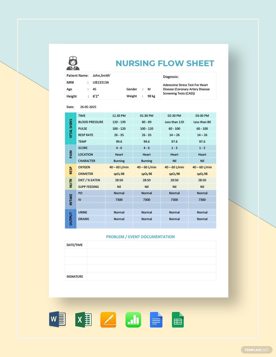 Nursing Flow Sheet Template Google Docs Google Sheets Excel Word 