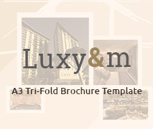 Free Business Conference A3 Tri-Fold Brochure Template in Adobe ...