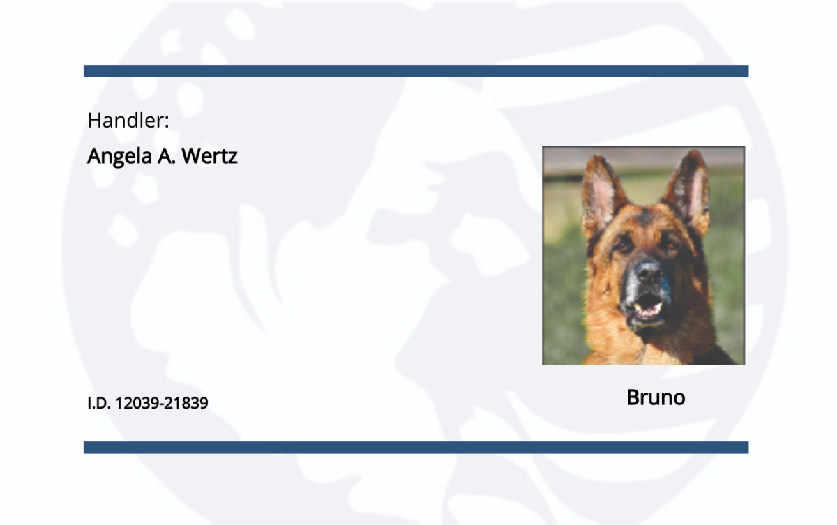 FREE Animal ID Card Templates Edit Online Download Template