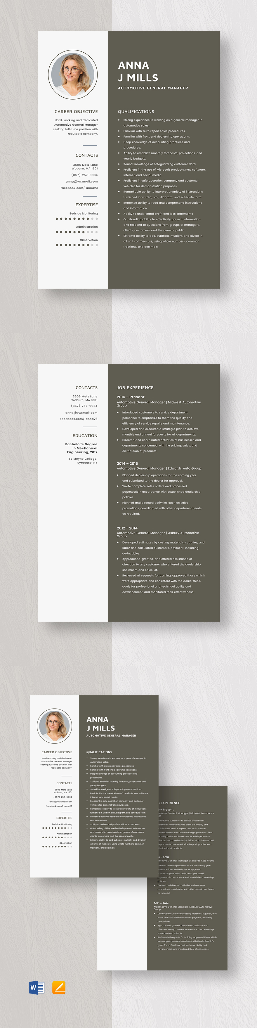 General Sales Manager Resume Template Word Apple Pages Template general-sales-manager-resume-template-word-apple-pages-template