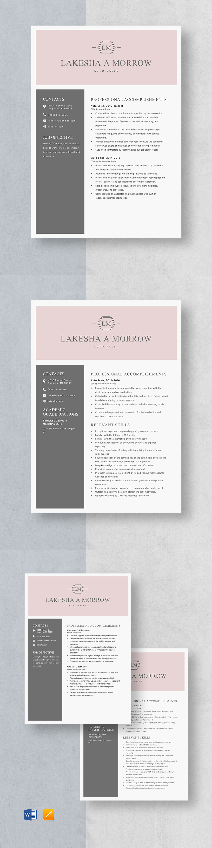 Free Counter Sales Resume Template - Word, Apple Pages | Template.net