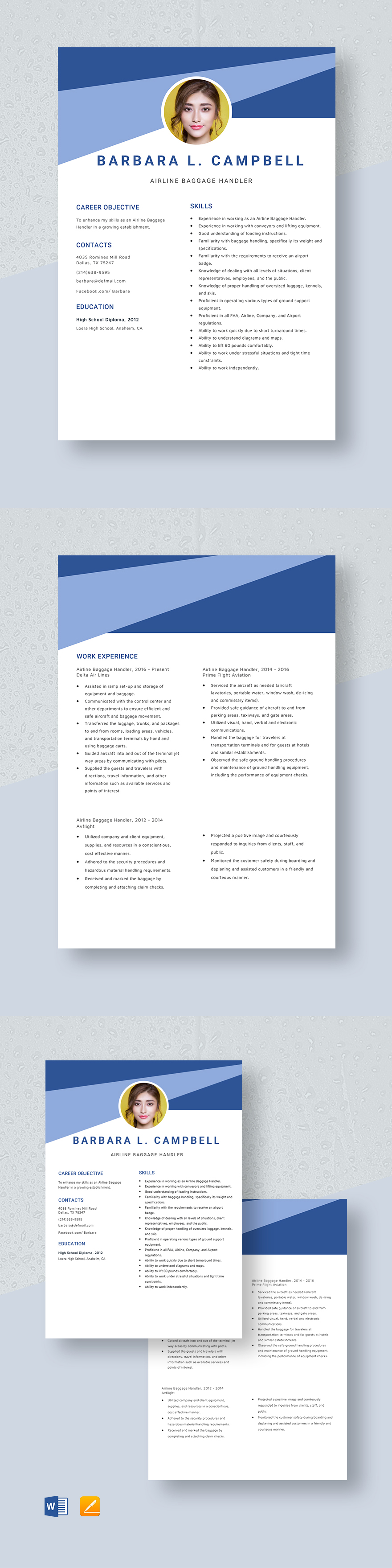 Munitions Handler Resume Template - Google Docs, Word, Apple Pages ...