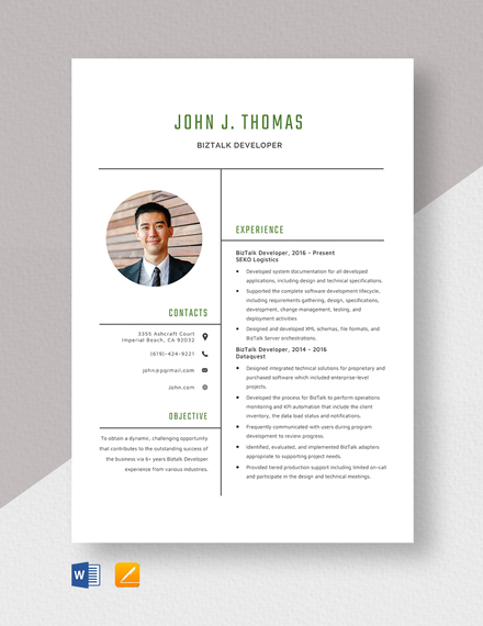 Free Software Developer Resume Template | Template.net