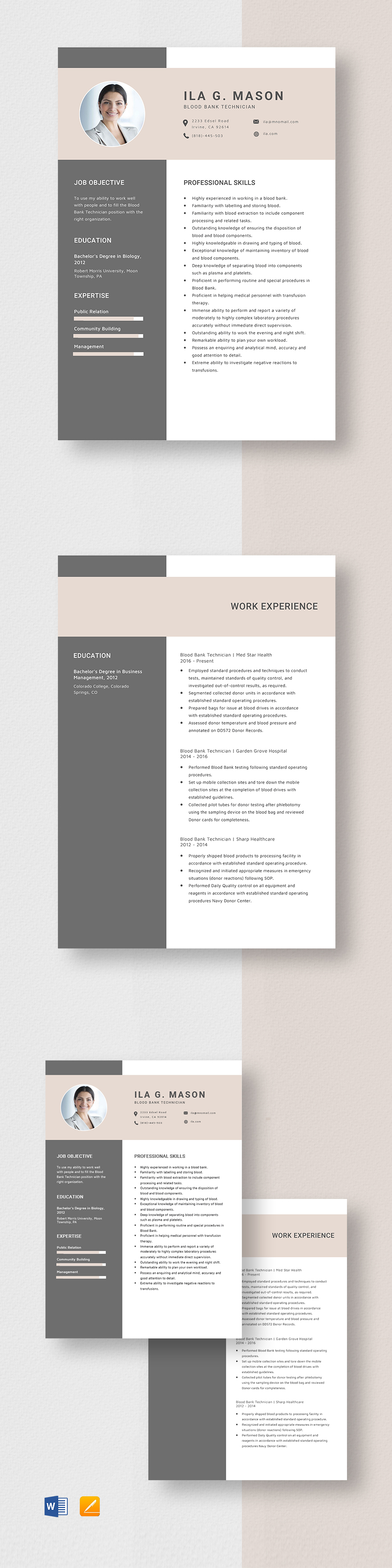 Branch Bank Manager Resume Template - Word, Apple Pages | Template.net
