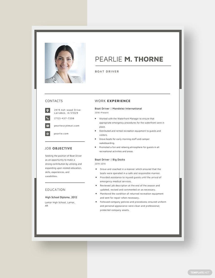 Driver Resume Template 27 Free Word PDF Document Downloads
