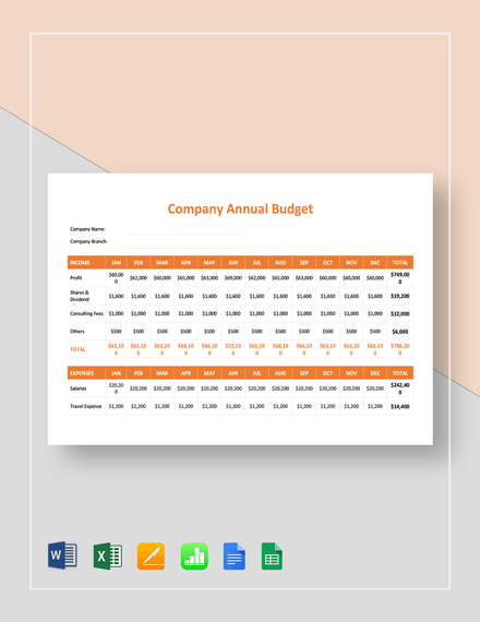 12+ Sample Company Budget Templates - Word, PDF, Docs