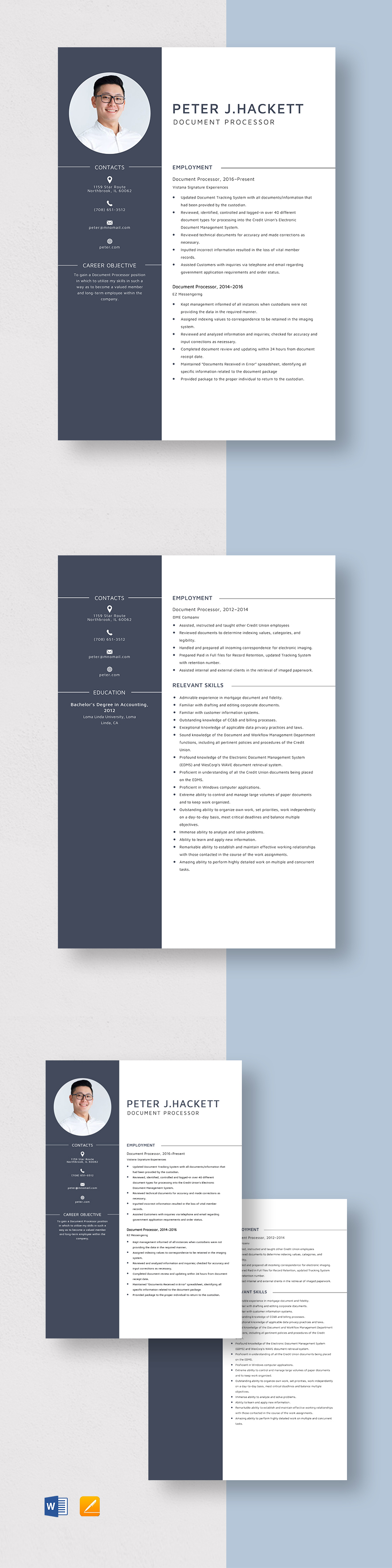 Document Analyst Resume Template - Word, Apple Pages | Template.net