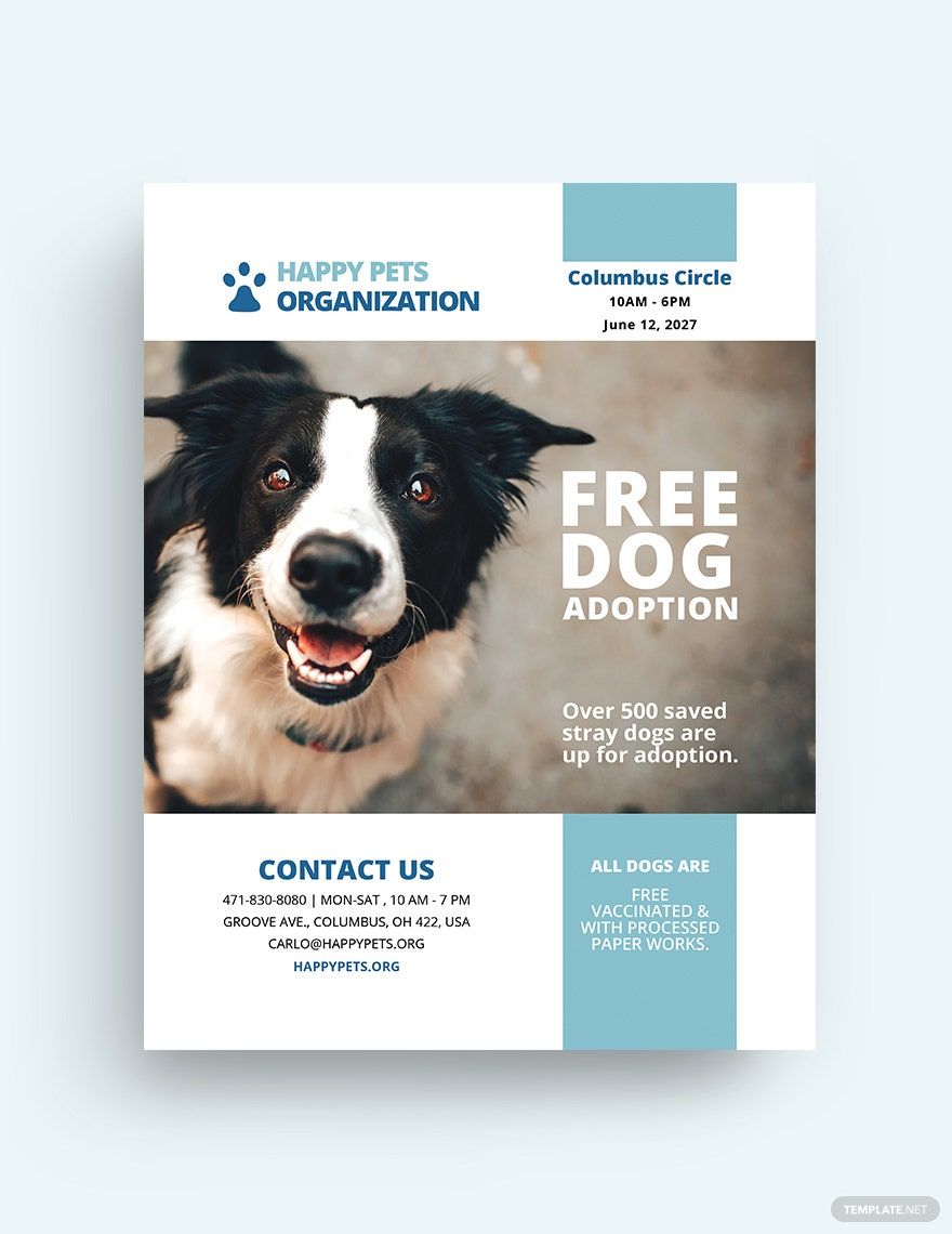 Pet Flyer Indesign Templates Free Download Template