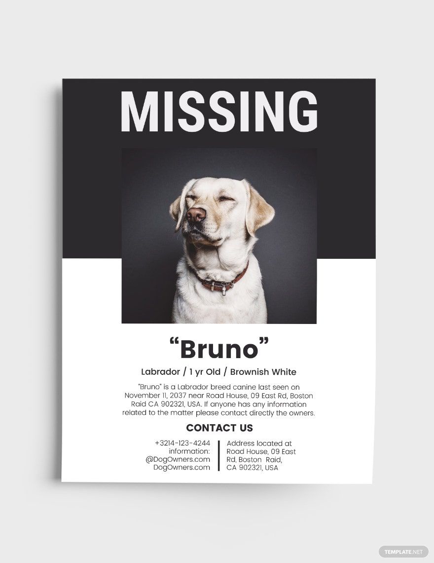 Free Dog Lost Flyer Template Download In Word Google Docs 