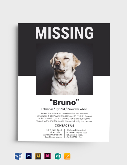  Dog Grooming Flyer Template Illustrator InDesign Word Apple Pages 