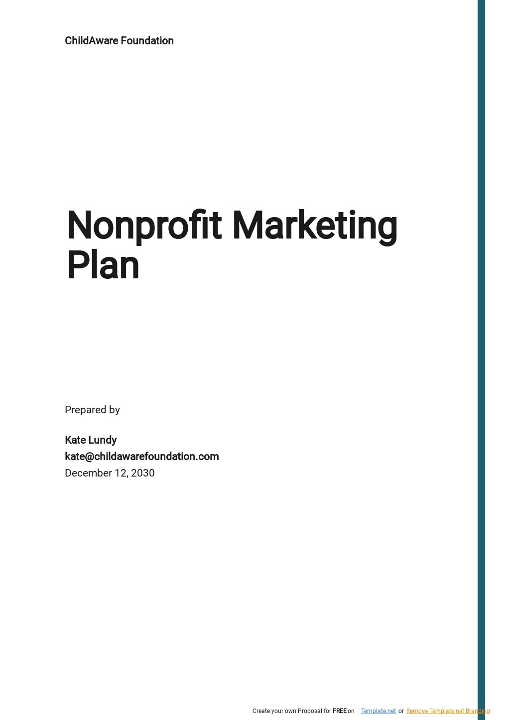 7 FREE Nonprofit Marketing Plan Templates Edit Download Template