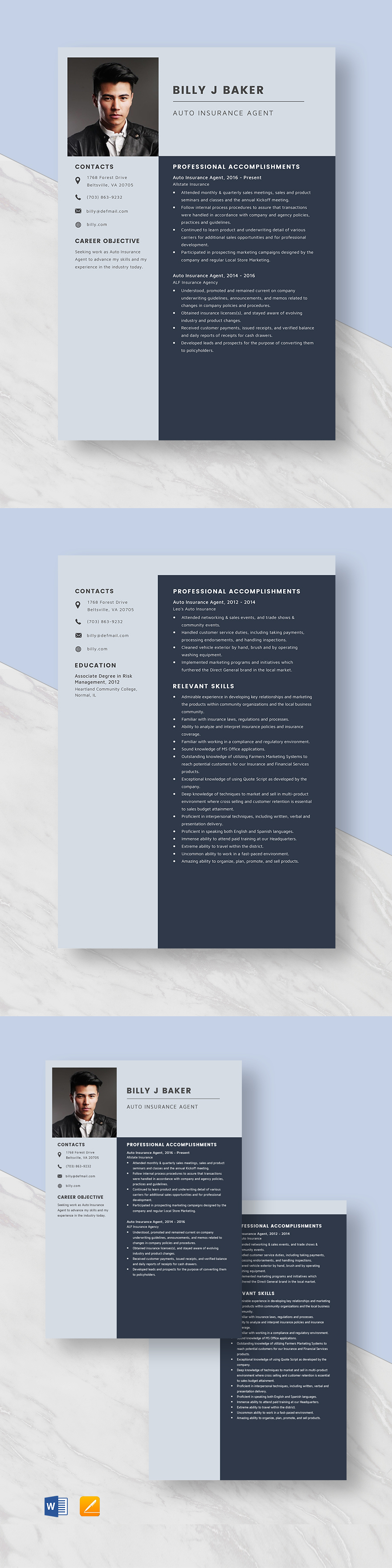 Auto Insurance Agent Resume Template Word Apple Pages Template
