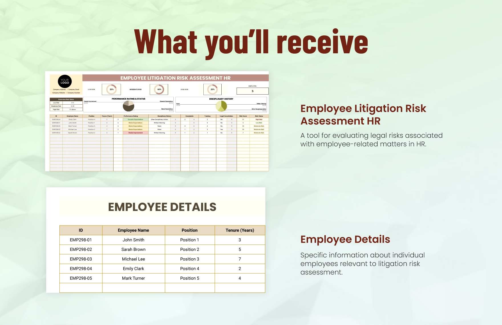Employee Litigation Risk Assessment HR Template in MS Excel, Google ...