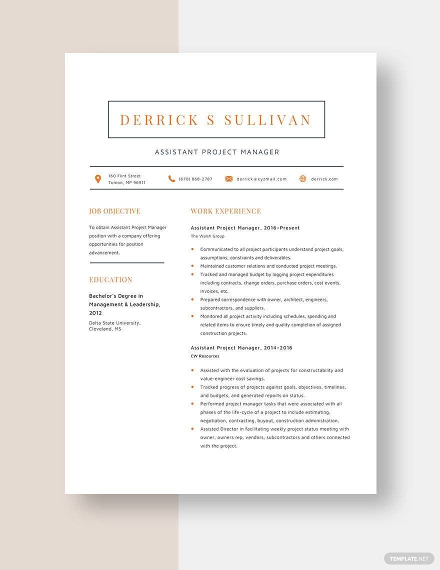 Assistant Project Manager Resume Download In Word Apple Pages 
